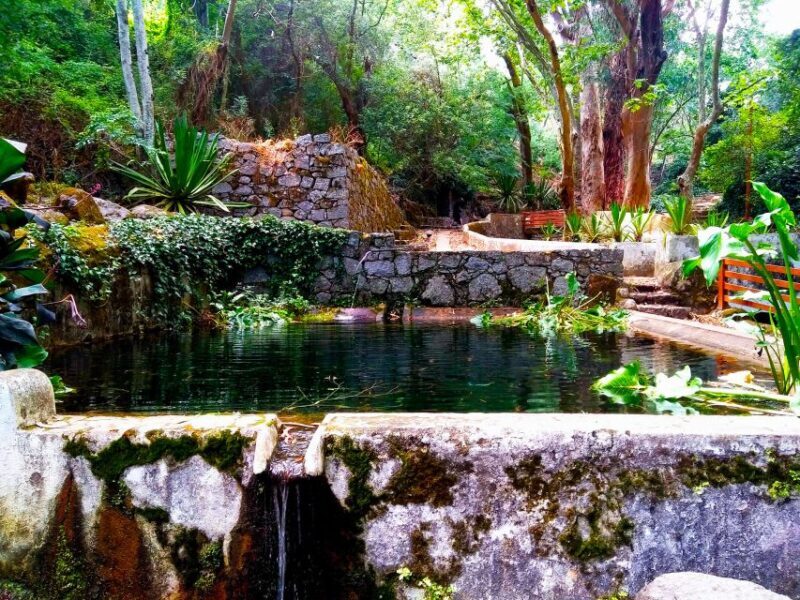 Monchique and Fóia: Half Day Tour - The Sum Up: Is It Worth It?