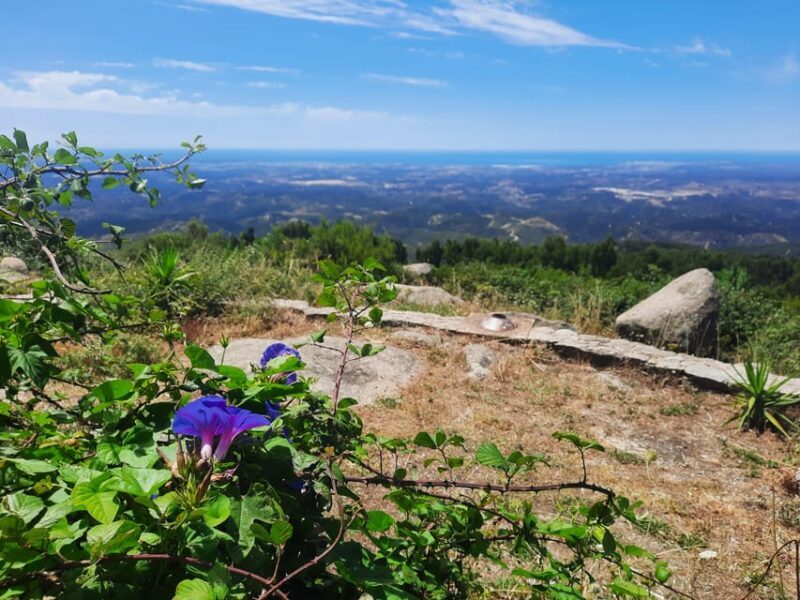Monchique & Silves: guided day trip - Who Will Love This Tour?