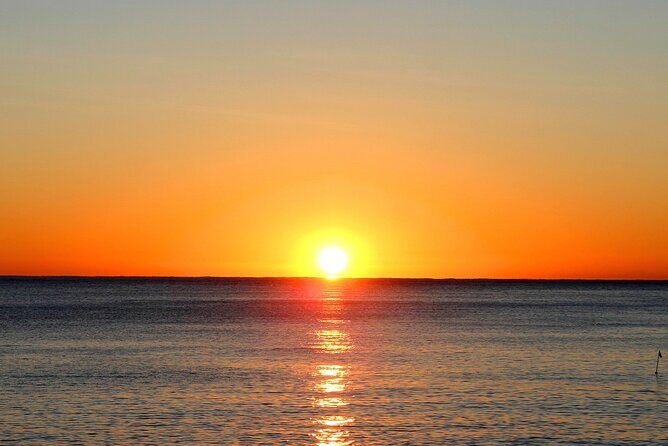 Monday & Thursday Nights Harbor Lights Tiki Tour - Why the Price Offers Good Value