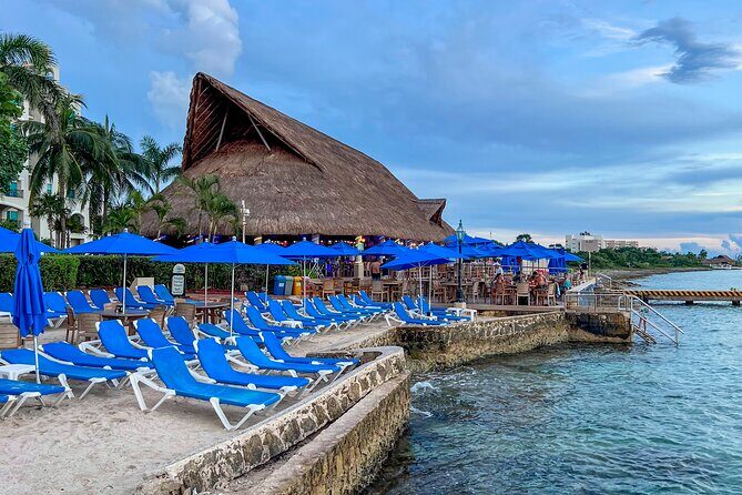 Money Bar All Inclusive Experience with Transportation - The Full Experience at The Money Bar: What You Can Expect