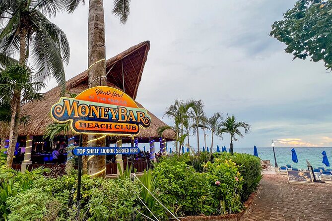 Money Bar Day Pass with Snorkel & Mexican Lunch - Who Should Consider This Tour?