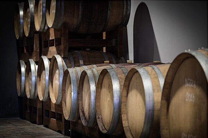 Monferrato (Asti): Wine Tour with light lunch picnic in the vineyards - The Itinerary in Detail