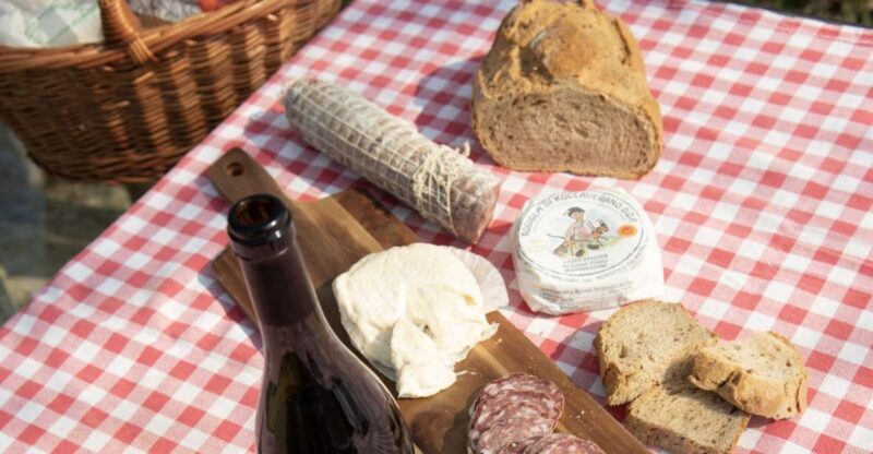 Monferrato: Wine Tour & Picnic in the Vineyards - Introduction