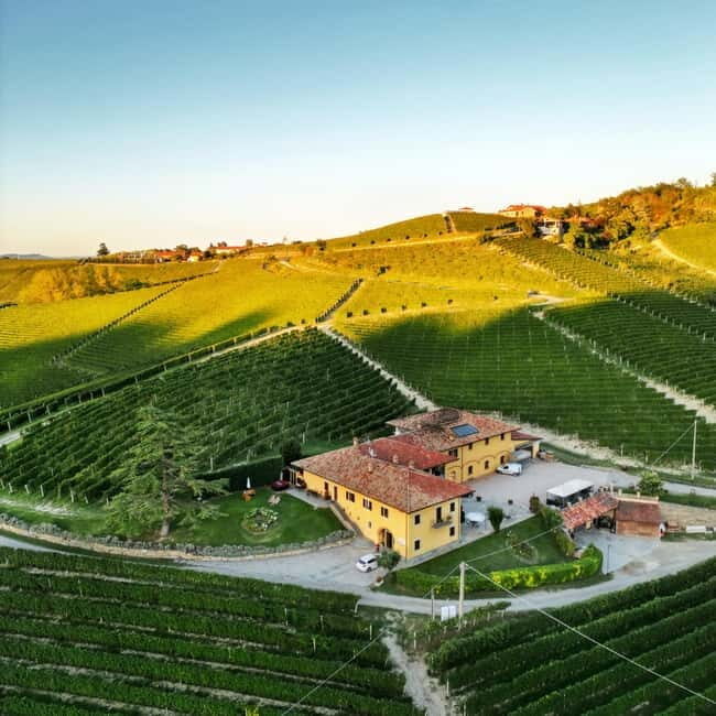 Monforte d'Alba: Wine and Chocolate Tasting Experience - A Closer Look: What to Expect from the Tour