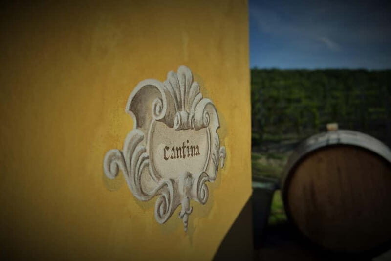 Monforte d'Alba: Wine and Chocolate Tasting Experience - The Experience’s Strengths