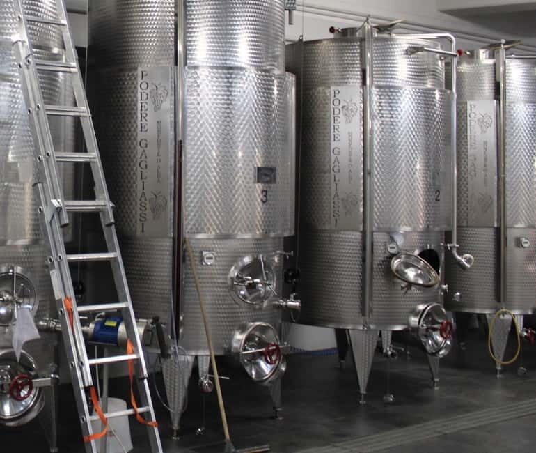 Monforte d'Alba: Wine Tasting, Cellar Visit, and Vineyard Tour - Value for Money and Practical Details