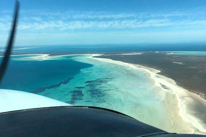 Monkey Mia Dolphins & Shark Bay Air Tour From Perth - Introduction