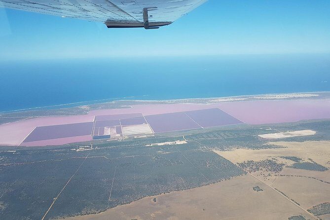 Monkey Mia Dolphins & Shark Bay Air Tour From Perth - Authentic Insights from Reviews