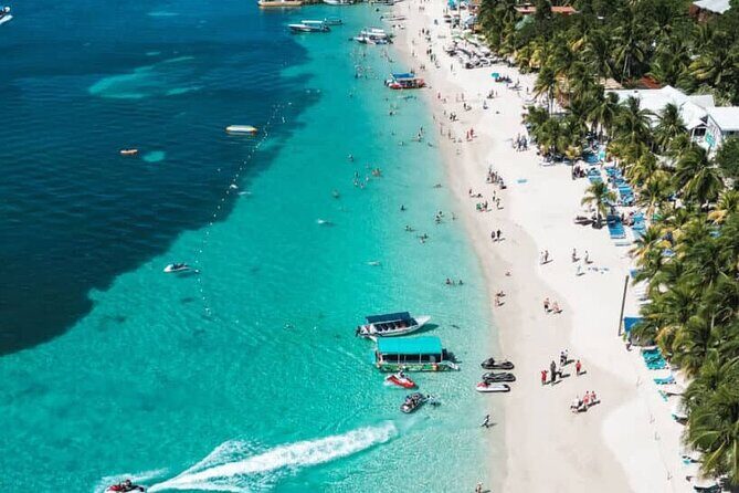 Monkeys and sloths, private tour , and beach - Key Points