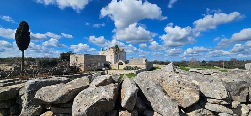 Monopoli: Ancient Olive Groves & Coastal E-Bike Ride - What to Expect from the Monopoli Olive Groves & Coastal E-Bike Tour  