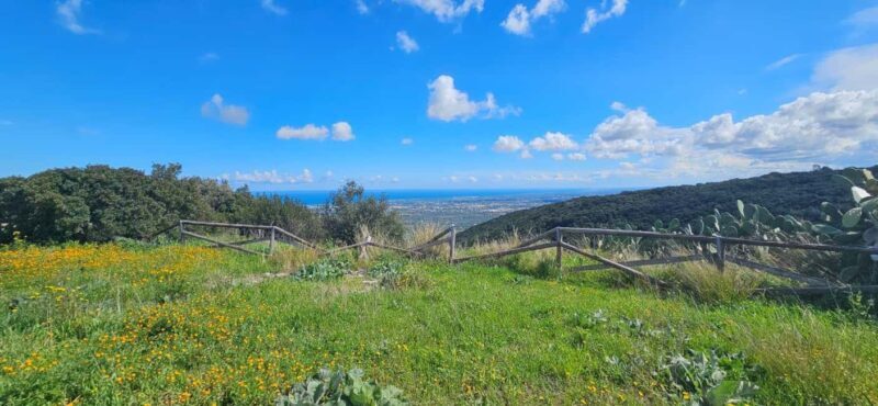 Monopoli: Ancient Olive Groves & Coastal E-Bike Ride - The Practical Details  