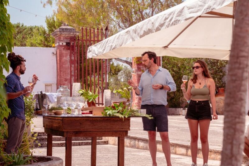 Monopoli: Parco Rurale Tour with Tasting of 3 Apulian Wines - Who Should Consider This Tour?