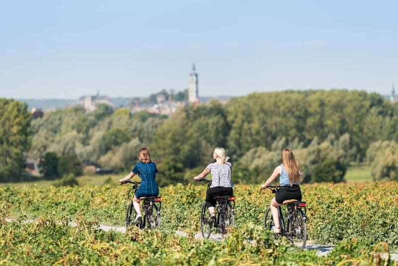 Mons : City Center Bike Rental for Sightseeing & Exploring - Highlights of the Mons Bike Experience