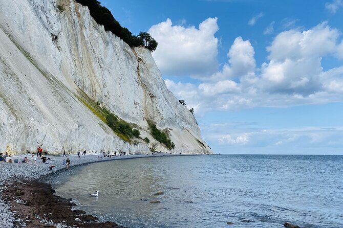 Møns klint and The Forest tower - A day tour from Copenhagen - Key Points