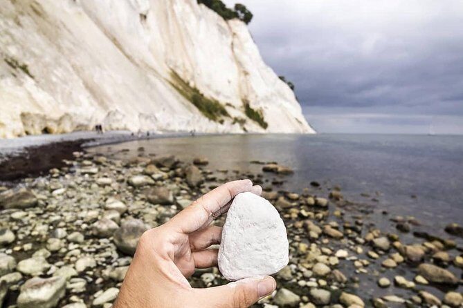 Møns klint and The Forest tower - A day tour from Copenhagen - The Experience and the Guides