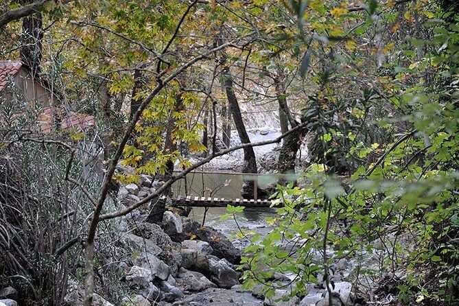 Monster Green Canyon Safari with Lunch - A Closer Look at the Adventure