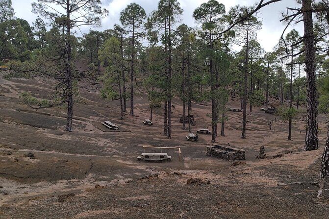Monster Quad Teide Tour - What to Expect During the Tour  