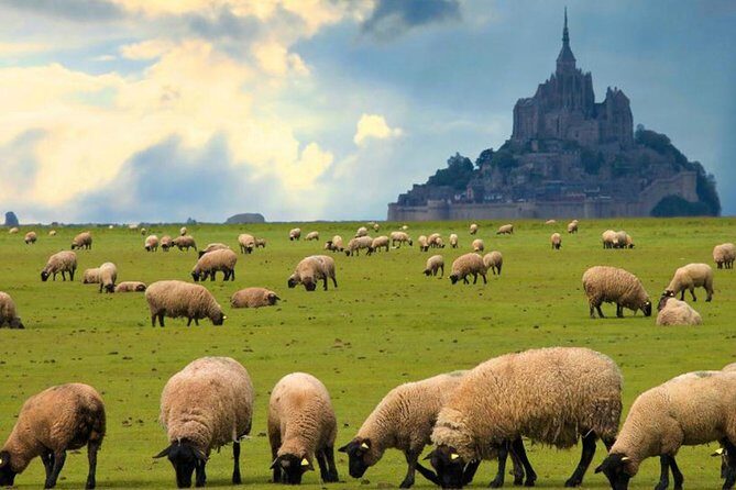 Mont Saint-Michel Day Trip from Paris with Abbey Ticket - What to Expect from the Tour