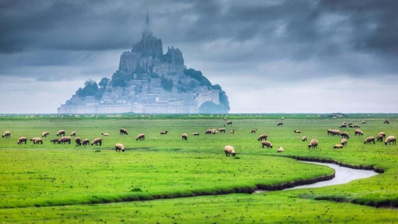 Mont Saint-Michel Small-Group Day Trip from Paris with Abbey Ticket - Key Points