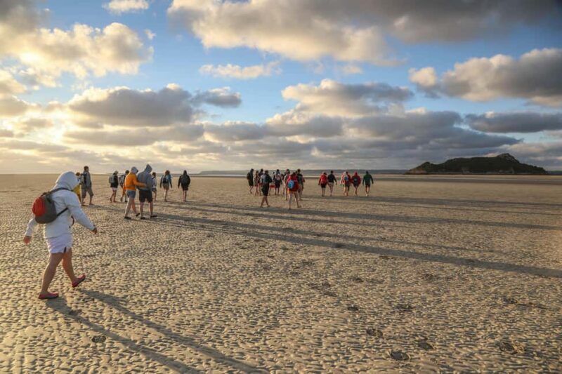 Mont-saint-Michel : Walk in the heart of the Bay - Introduction: What Makes This Tour Special?