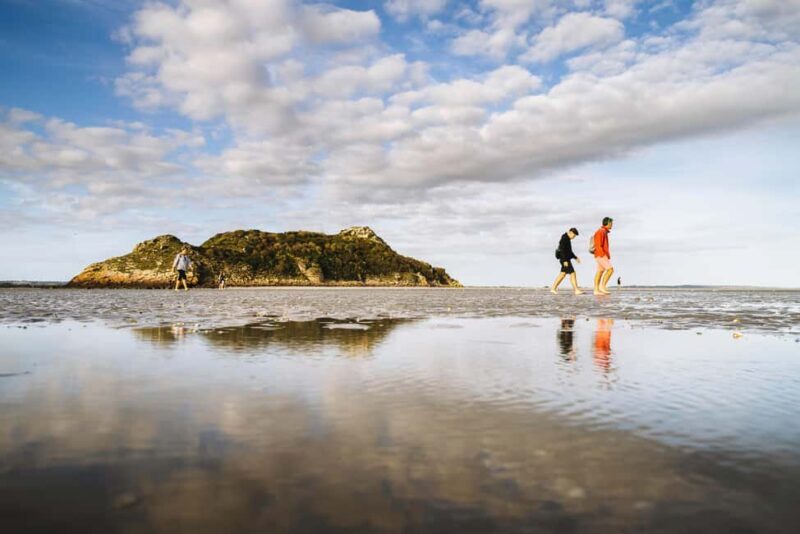 Mont-saint-Michel : Walk in the heart of the Bay - Practical Tips for a Smooth Experience