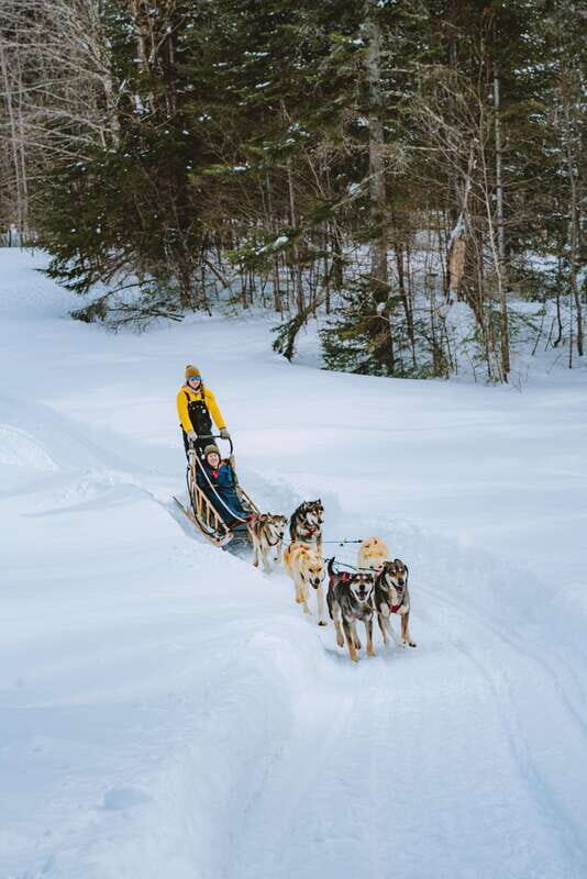 Mont-Tremblant: Dogsledding Upper Laurentians - Key Points