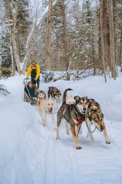 Mont-Tremblant: Dogsledding Upper Laurentians - Is This Tour Right for You?
