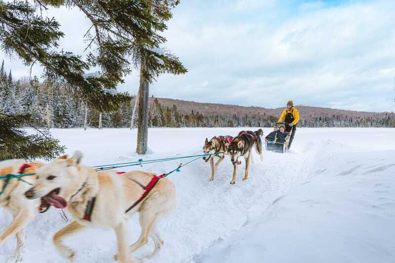 Mont-Tremblant: Dogsledding Upper Laurentians - FAQ