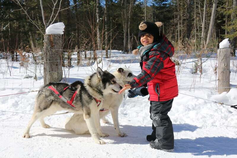Mont-Tremblant: Dogsledding Valley Adventure - Practical Details and Tips