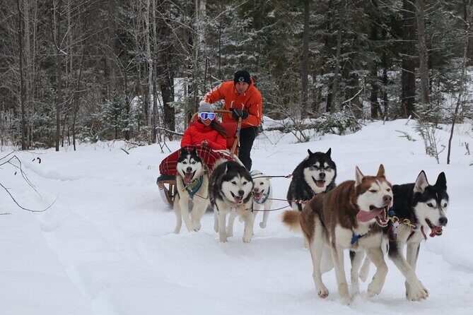 Mont Tremblant Dogsledding Valley Adventure - Halfway Break and Cozy Refreshments  