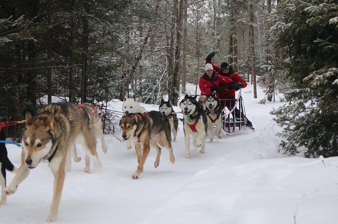 Mont Tremblant Dogsledding Valley Adventure - Food and Comforts Included  