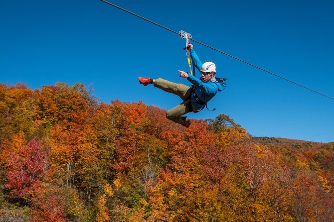 Mont Tremblant Guided Zipline Tour - Who Will Love This Tour?