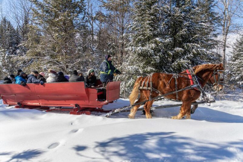 Mont-Tremblant: Sleigh Ride w/ Storytelling & Hot Chocolate - Key Points