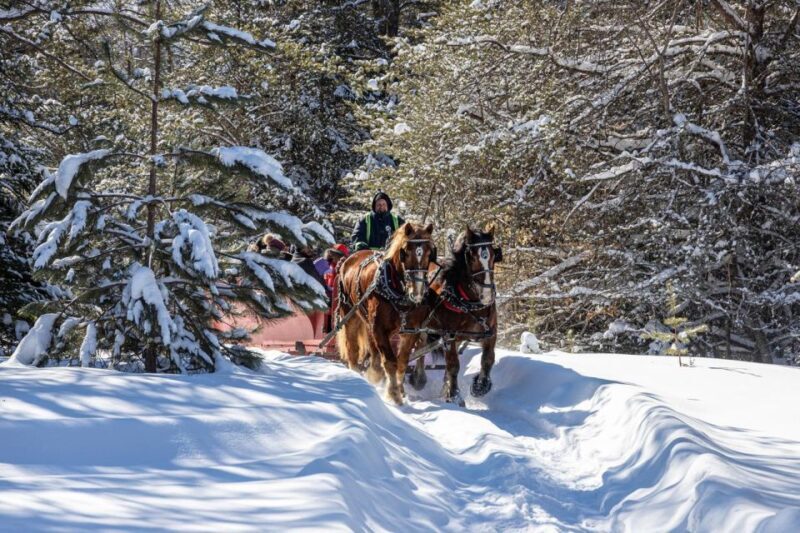 Mont-Tremblant: Sleigh Ride w/ Storytelling & Hot Chocolate - What to Expect from the Mont-Tremblant Sleigh Ride