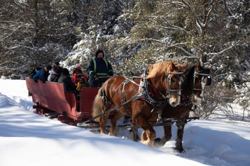 Mont-Tremblant: Sleigh Ride w/ Storytelling & Hot Chocolate - Is This Tour Right for You?