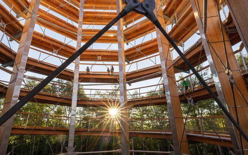 Mont-Tremblant: Treetop Observatory and Self-Guided Walk - Who Will Love This Experience?