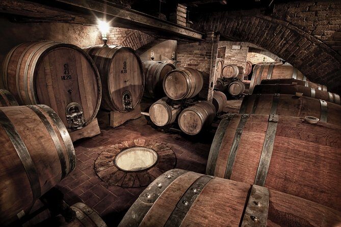 Montalcino: Brunello Wine Tasting Experience - The Sum Up