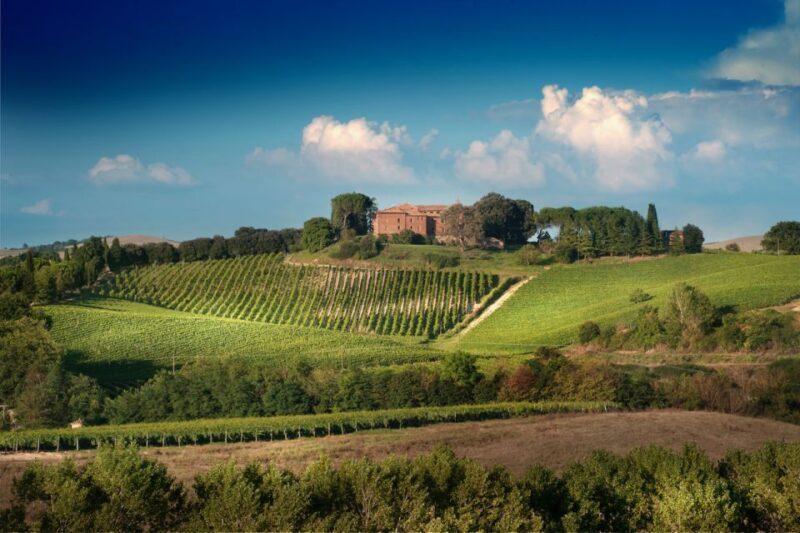 Montalcino: Brunello Wine Tasting Experience - A Closer Look at the Experience