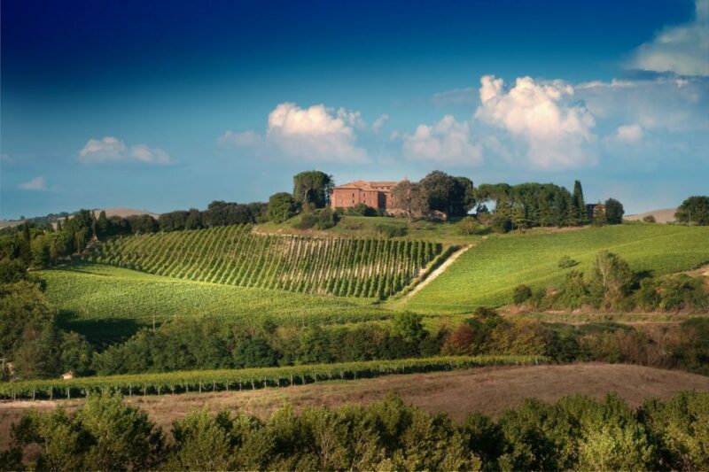 Montalcino: Brunello Wine Tasting & Lunch in a Tuscan Castle - Why Travelers Love This Tour