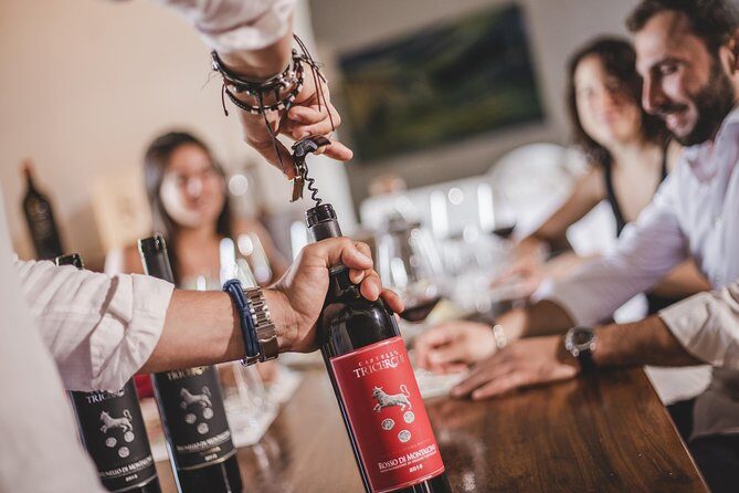 Montalcino Castle and Vineyards tour with tasting - What the Reviews Say