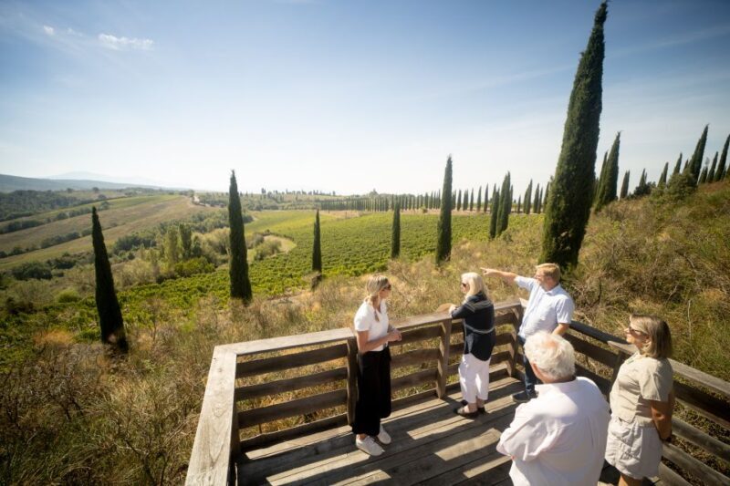 Montalcino: Guided Winery Tour and Wine Tasting - Who Will Love This Tour?