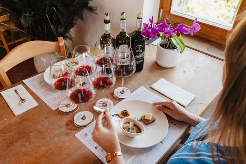 Montalcino: Guided Winery Tour & Gourmet Food Tasting - Key Points