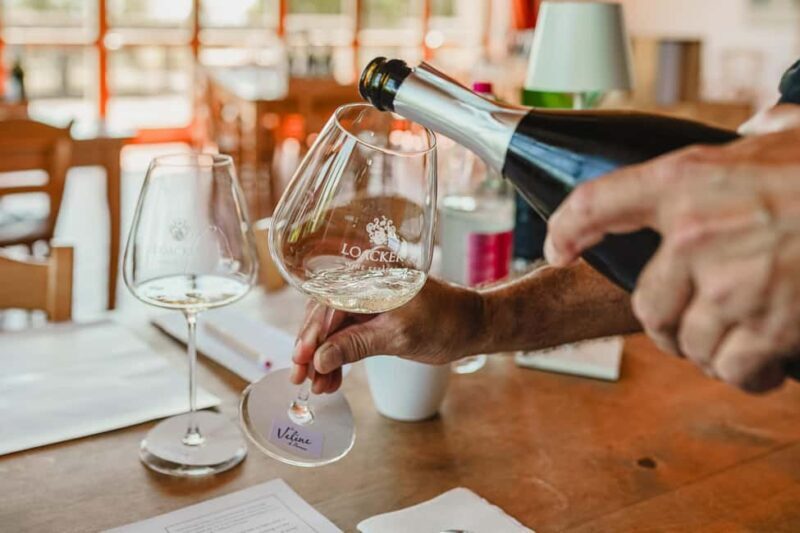 Montalcino: Guided Winery Tour & Gourmet Food Tasting - Gourmet Bites and Food Pairing