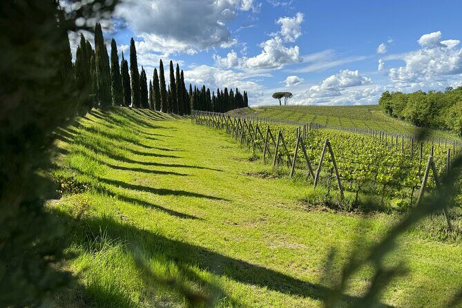 MONTALCINO Private E-Bike & Brunello Winery Experience - FAQ