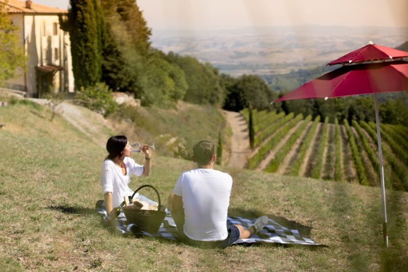 Montalcino: Vineyard Picnic with a Bottle of Wine - What Reviewers Love (and Slightly Less)