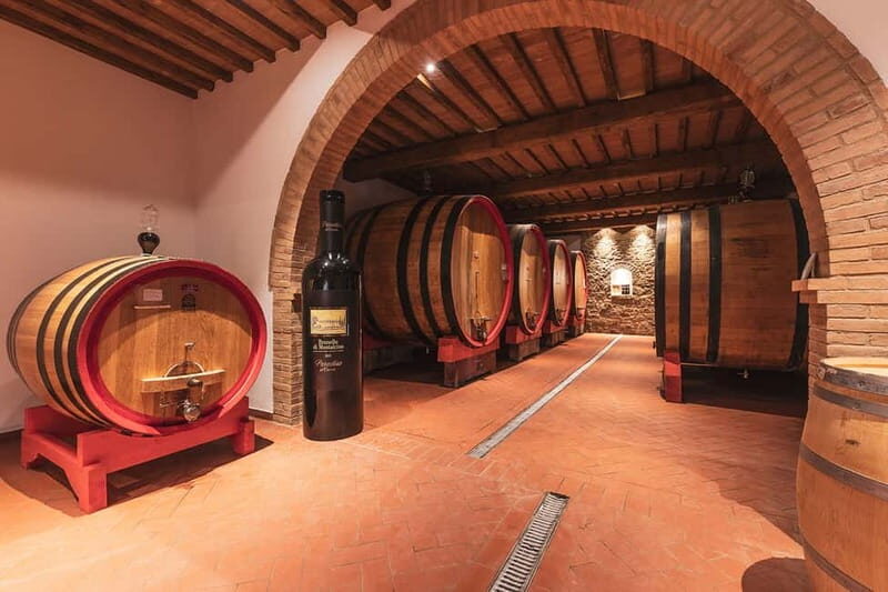 Montalcino: Vinyard Tour with Vertical Brunello Tasting - Key Points