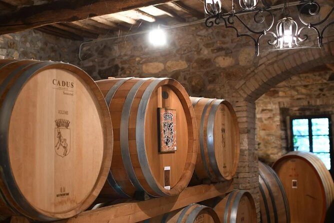 Montalcino wine tour - An In-depth Look at the Montalcino Wine Tour
