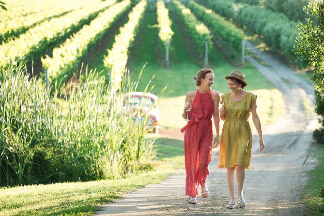 Montalto Vineyard: Mornington Peninsula Discovery Wine Tasting and Lunch - Montalto Vineyard: Mornington Peninsula Discovery Wine Tasting and Lunch — A Detailed Look