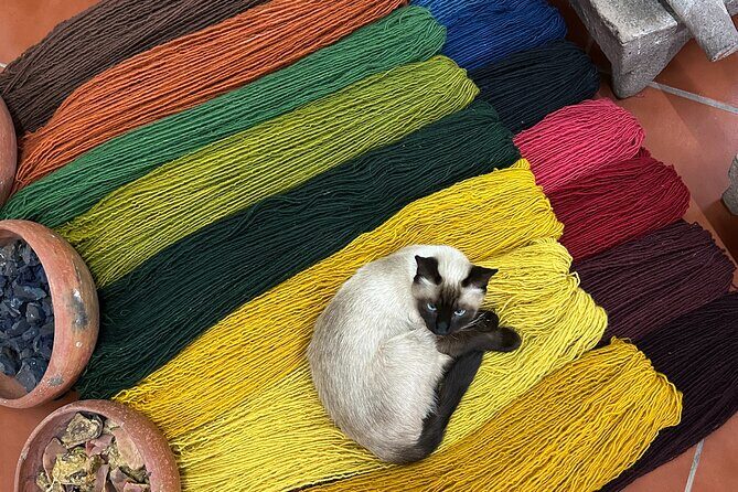 Monte Albán, Hierve el Agua, Mezcal distillery & Teotitlán rugs - Who Is This Tour Best Suited For?