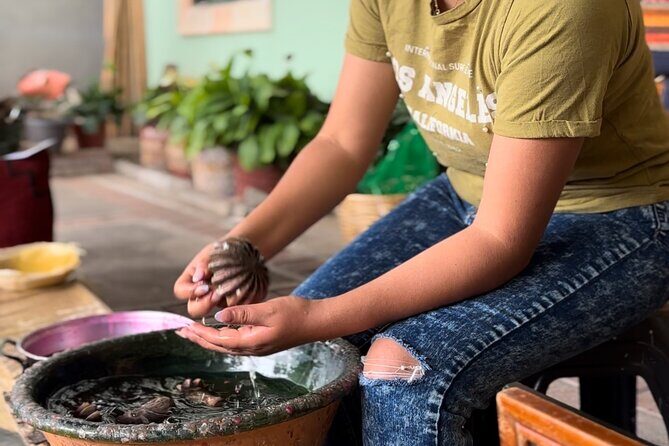 Monte Alban, Mezcal factory, chocolate and artisan houses - An In-Depth Look at the Tour